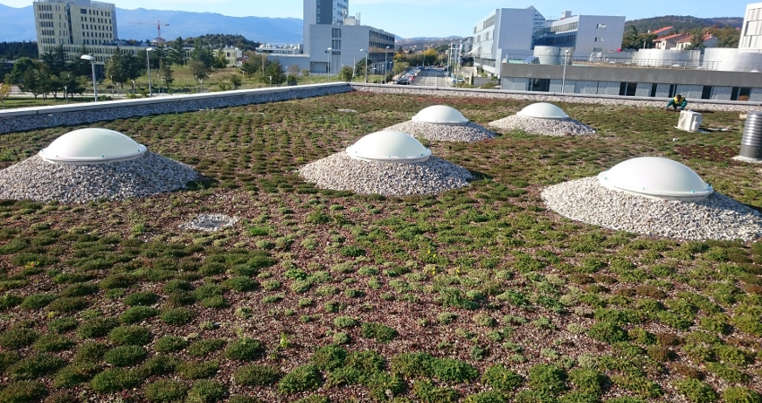 Galerija – Krovni vrtovi – Floricon d.o.o.